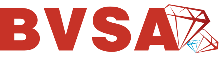 X-ray transmission sorters – BVSA